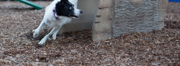 Playground Safety Surfacing | Fibar